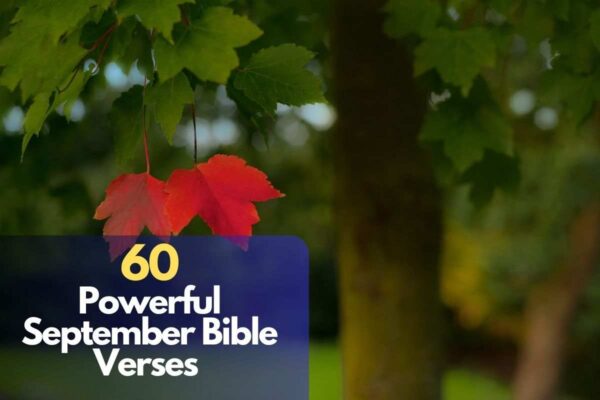 65 Bible Verses About Having A Good Day – Bible Verses of the day