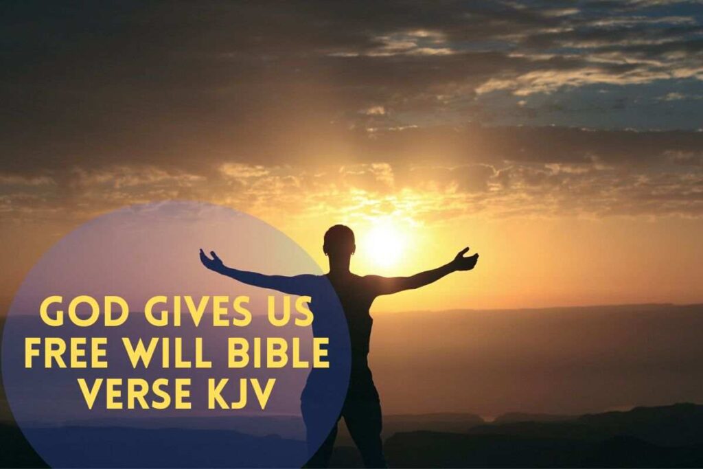 50 Powerful God Is Omnipotent Omnipresent And Omniscient Bible Verse Bible Verses Of The Day