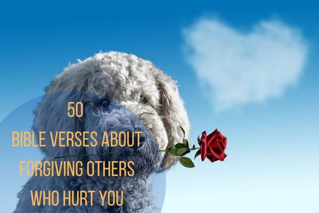 50 Bible Verses About Forgiving Others Who Hurt You – Bible Verses of ...