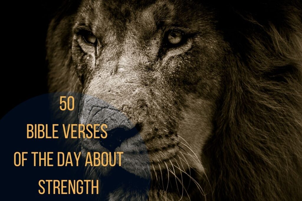 70 Best Bible Verses About The Trinity – Bible Verses of the day