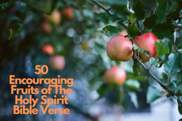 70 Helpful Bible Verses About Feeling Empty Inside – Bible Verses of ...