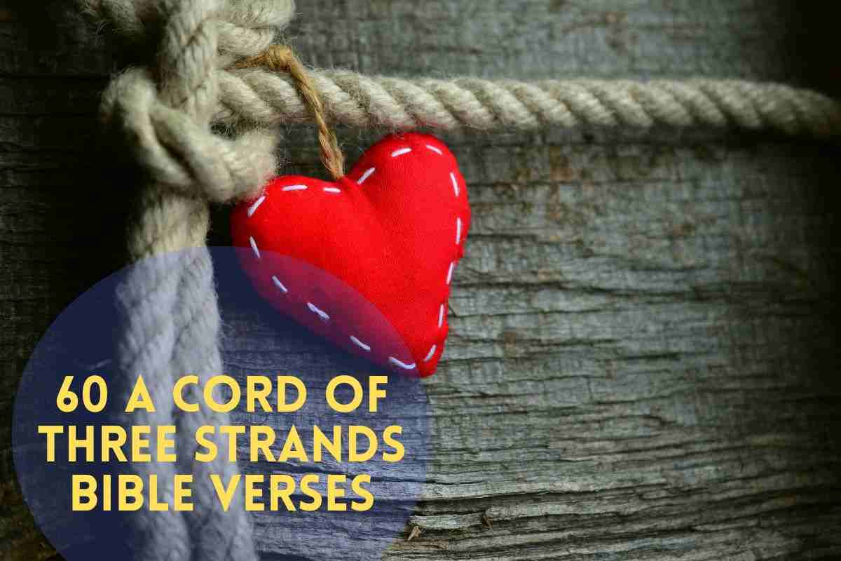 60 Powerful A Cord Of Three Strands Bible Verses – Bible Verses of the day 60 Powerful A Cord Of Three Strands Bible Verses – Bible Verses of the day