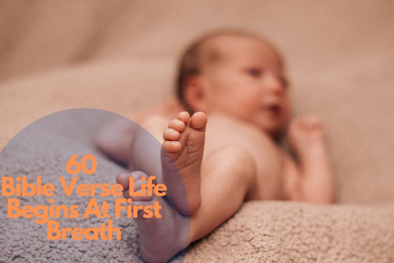 60 Powerful God Grant Me The Serenity Bible Verse – Bible Verses of the day