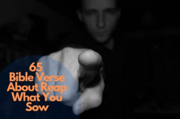 17 Helpful Bible Verses For Divine Helpers (Must Read)