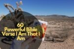 20 Popular Bible Verses in Spanish – Bible Verses of the day