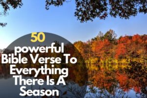 50 powerful Bible Verse To Everything There Is A Season – Bible Verses ...