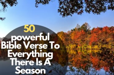 26 Powerful Bible Verses About Scripture Being Inspired by God – Bible ...