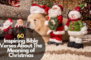 The spirit of python in the Bible – Bible Verses of the day