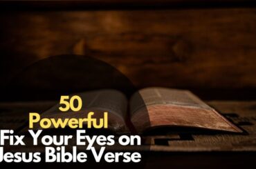 65 Best Random Bible Verse Of The Day KJV – Bible Verses of the day