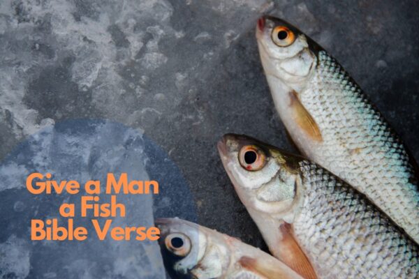 60 Intriguing Give a Man a Fish Bible Verse – Bible Verses of the day