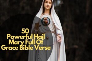 50 Powerful Hail Mary Full Of Grace Bible Verse – Bible Verses of the day