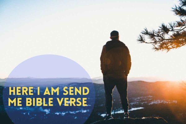 What Is The Longest Verse Of The Bible? – Bible Verses of the day