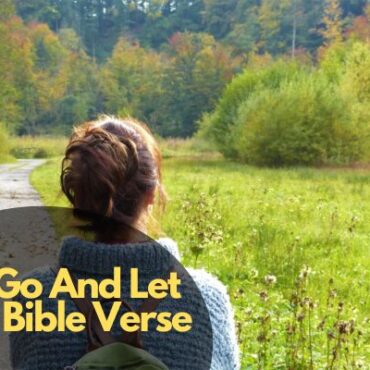 60 Inspiring God Reveals Himself To Those Who Seek Him Bible Verses