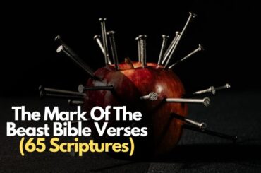 15 Best Bible Verses For Backsliders – Bible Verses of the day