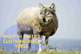 Wolf In Sheep’s Clothing Bible Verse: 55 Powerful Scriptures – Bible ...