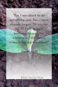 60 Powerful God Will Make A Way Bible Verses – Bible Verses of the day