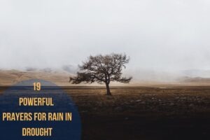 19 Powerful Prayers For Rain In Drought – Bible Verses of the day