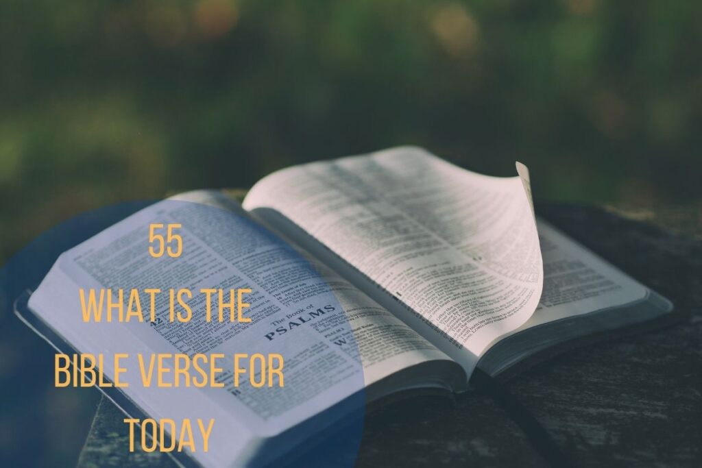 65 Powerful Morning Devotion Scriptures – Bible Verses of the day