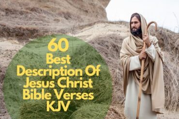 70 Helpful Bible Verses About Feeling Empty Inside – Bible Verses of ...