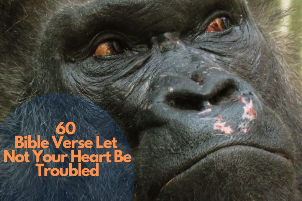 21 Bible Verses about Crying out to God for Help – Bible Verses of the day