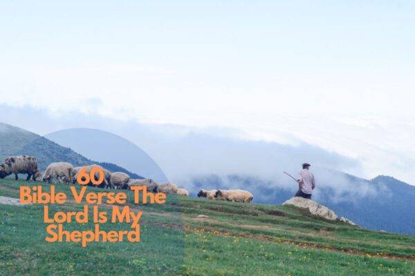 50 Powerful Bible Verses About Unity And Working Together – Bible ...