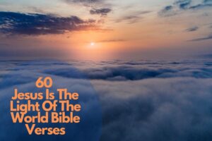 51 Best bible verses for June – Bible Verses of the day