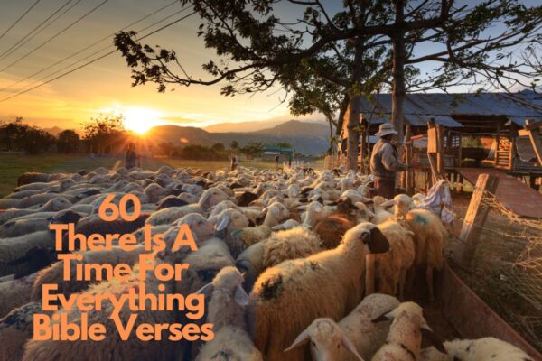 80 Best Daily Devotional Verses to Start Your Day – Bible Verses of the day