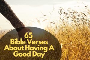 65 Bible Verses About Having A Good Day – Bible Verses of the day
