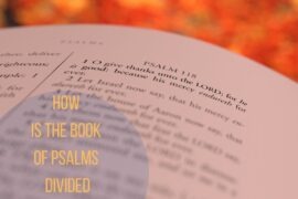 Discovering How the Book of Psalms is Divided – Bible Verses of the day