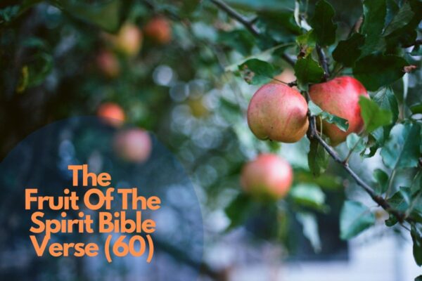 60 Best The Fruit Of The Spirit Bible Verse – Bible Verses of the day