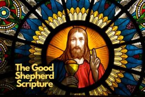 The Good shepherd scripture – Bible Verses of the day