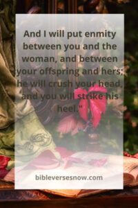 70 Powerful Bible Verses About Immaculate Conception – Bible Verses of ...