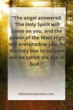 70 Powerful Bible Verses About Immaculate Conception – Bible Verses of ...