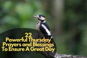 22 Powerful Thursday Prayers And Blessings To Ensure A Great Day – Bible Verses of the day