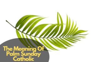 The Meaning Of Palm Sunday Catholic – Bible Verses of the day